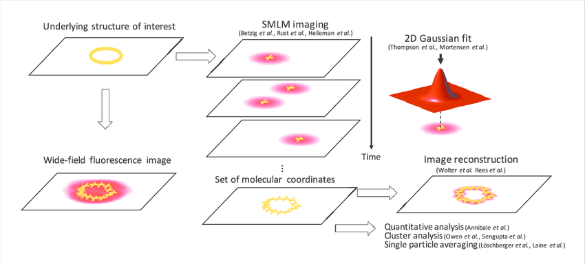 What is Super-Resolution Imaging? - GoPhotonics.com