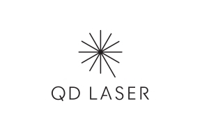Quantum Dot Laser