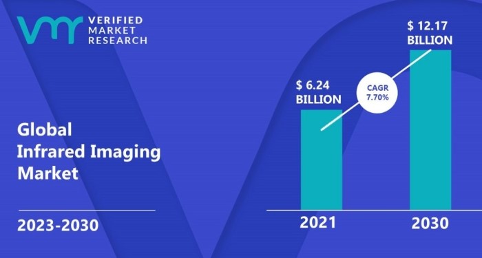 Global Infrared Imaging Market Poised for Steady Growth, Projected to ...