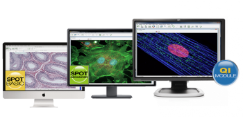 SPOT Imaging Earns Global Recognition for Innovative Scientific Cameras ...